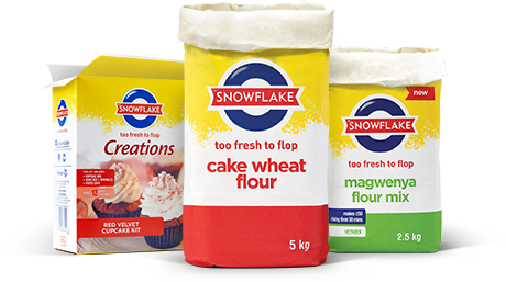 Home Page - Snowflake